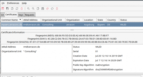 KVM/Qemu VMs with a multi-screen Spice console – VI – remote access with remote-viewer and TLS ...