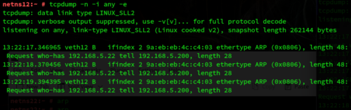 More Fun With Veth Network Namespaces Vlans Iv L2 Segments Same Ip Subnet Arp And Routes
